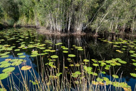 Rayong Botanical Garden | Visitrayong